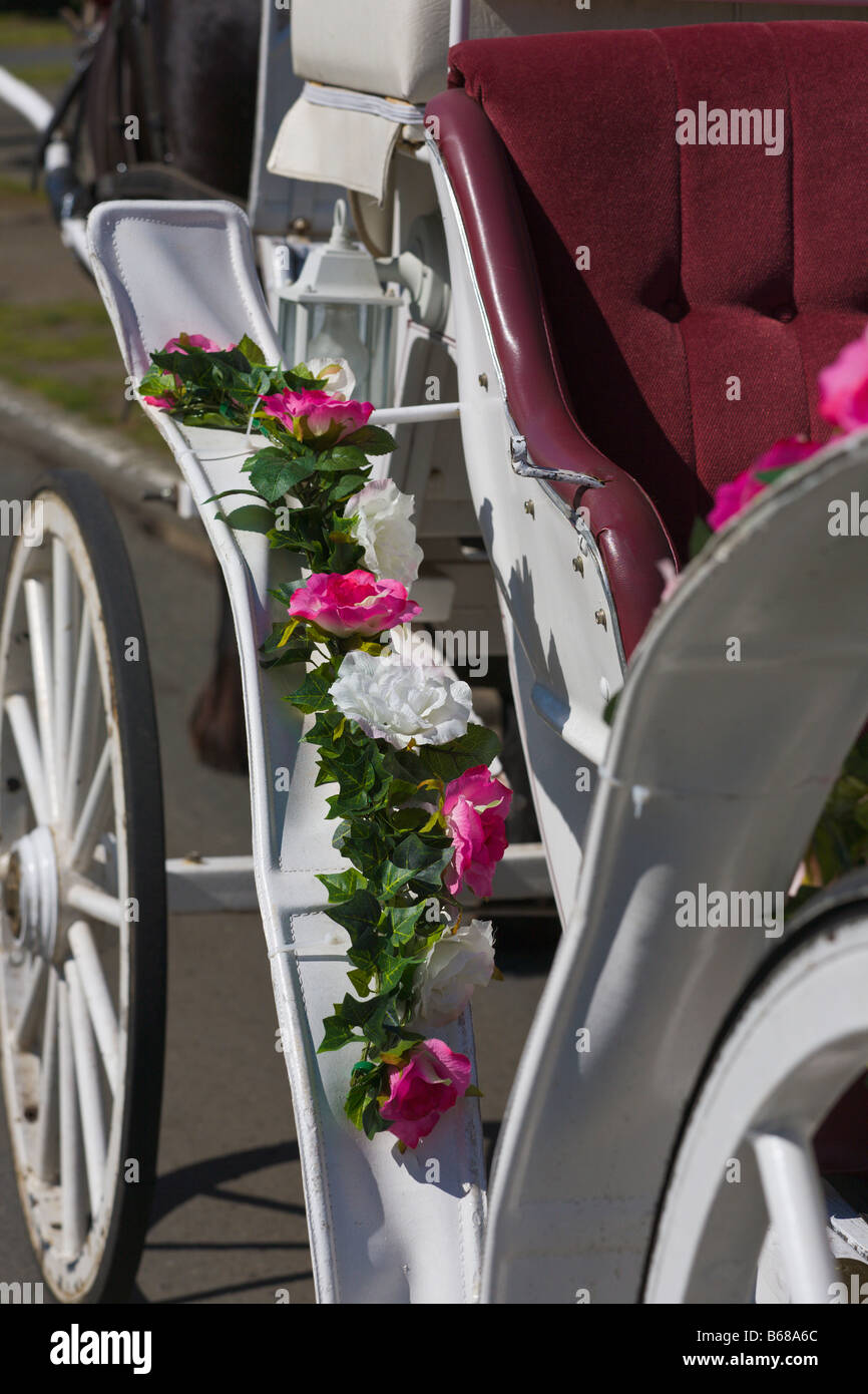 Flowers decorating horse drawn carriage Victoria "Vancouver Island ...