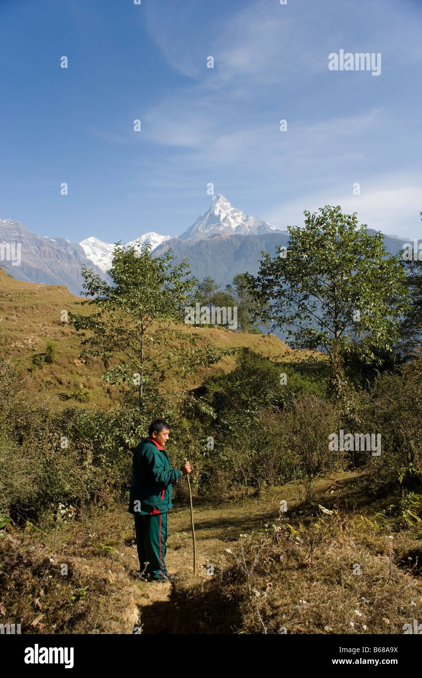 Fishtail Mountain and guide from above Ghandruk village in the ...