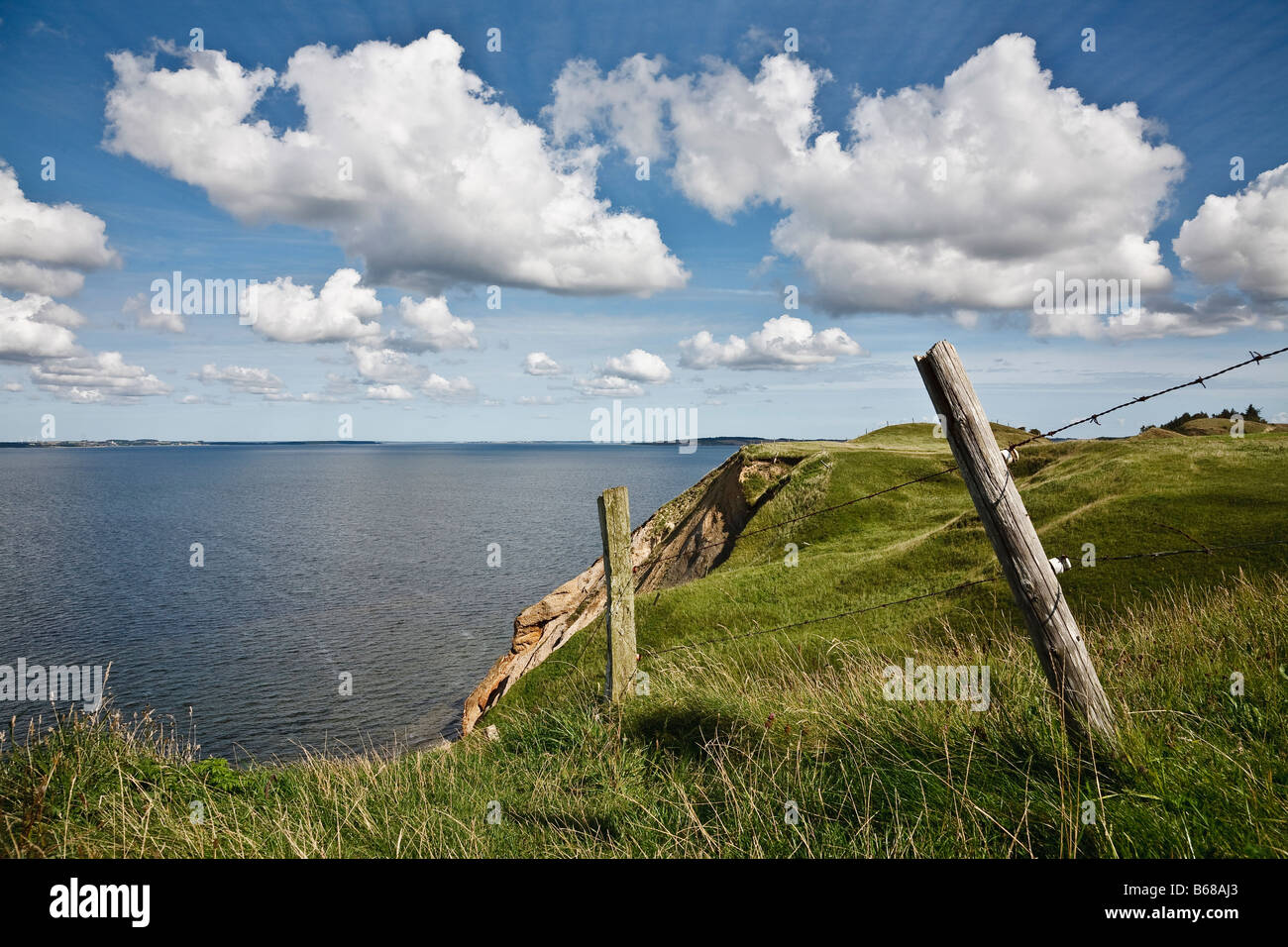 Mors hanklit hi-res stock photography and images - Alamy