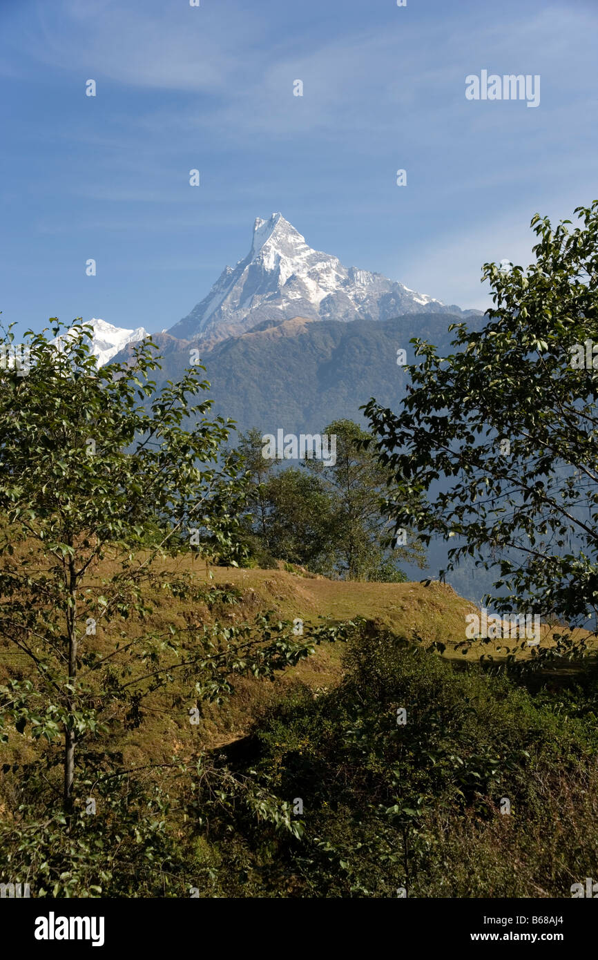 Fishtail Mountain from above Ghandruk village in the Annapurna range ...