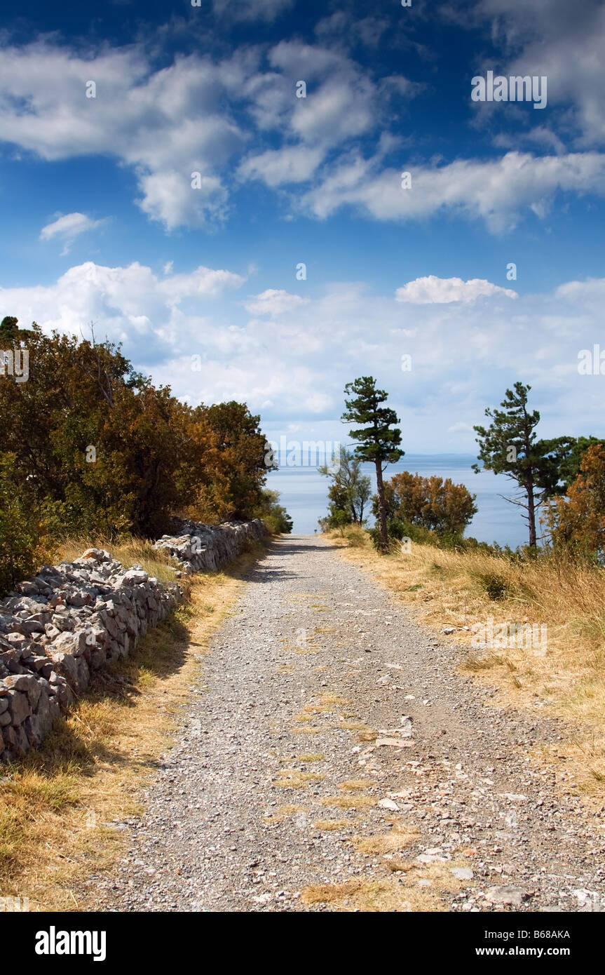 Empty rural stone road hi-res stock photography and images - Alamy