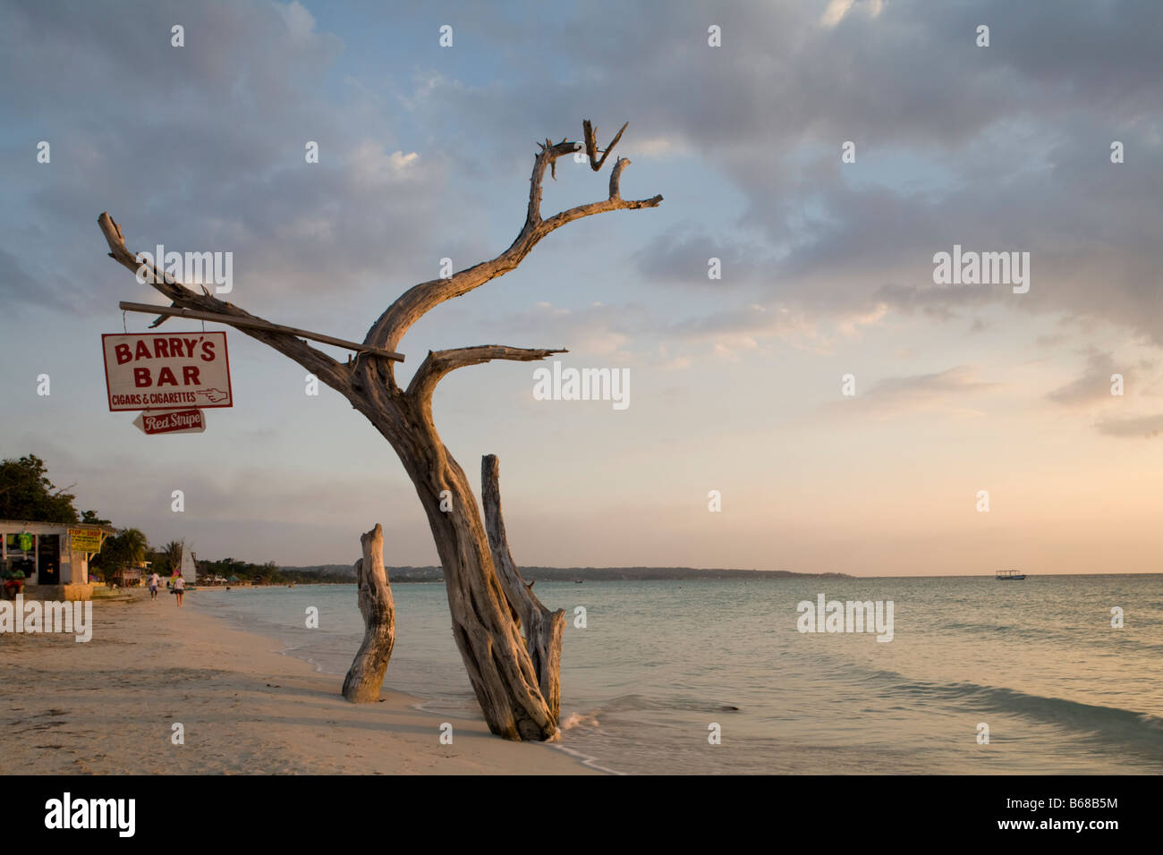 Jamaica Negril Setting sun lights bar sign hanging from tree limb along ...