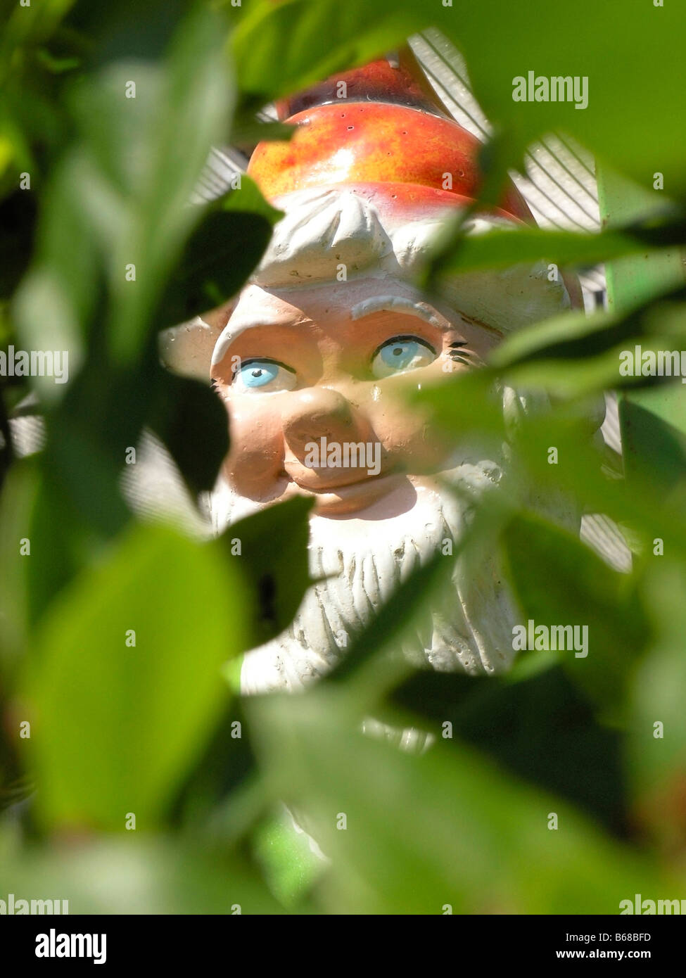 Gnome face hi-res stock photography and images - Alamy