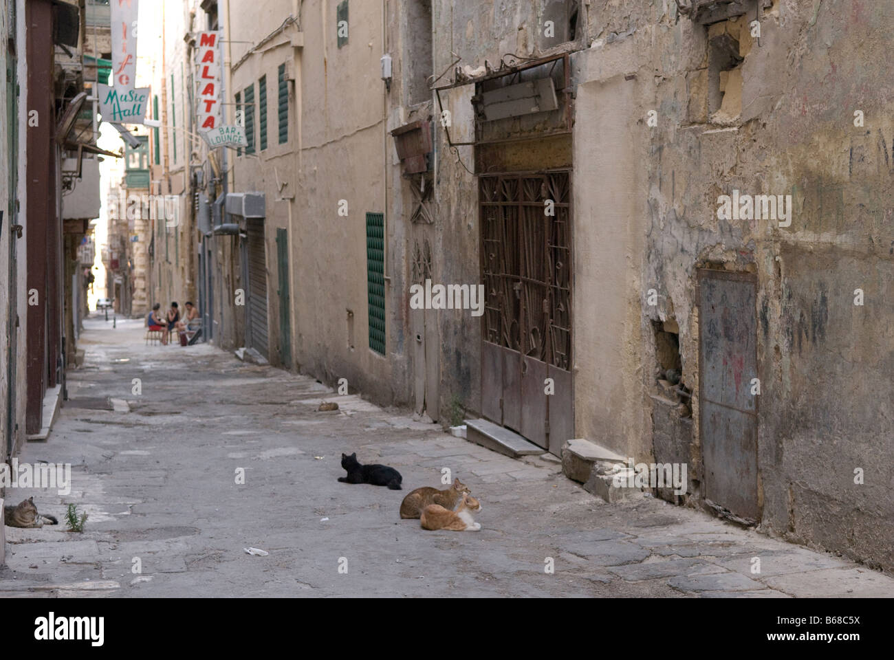 Cats in the street, Valletta Malta Stock Photo - Alamy