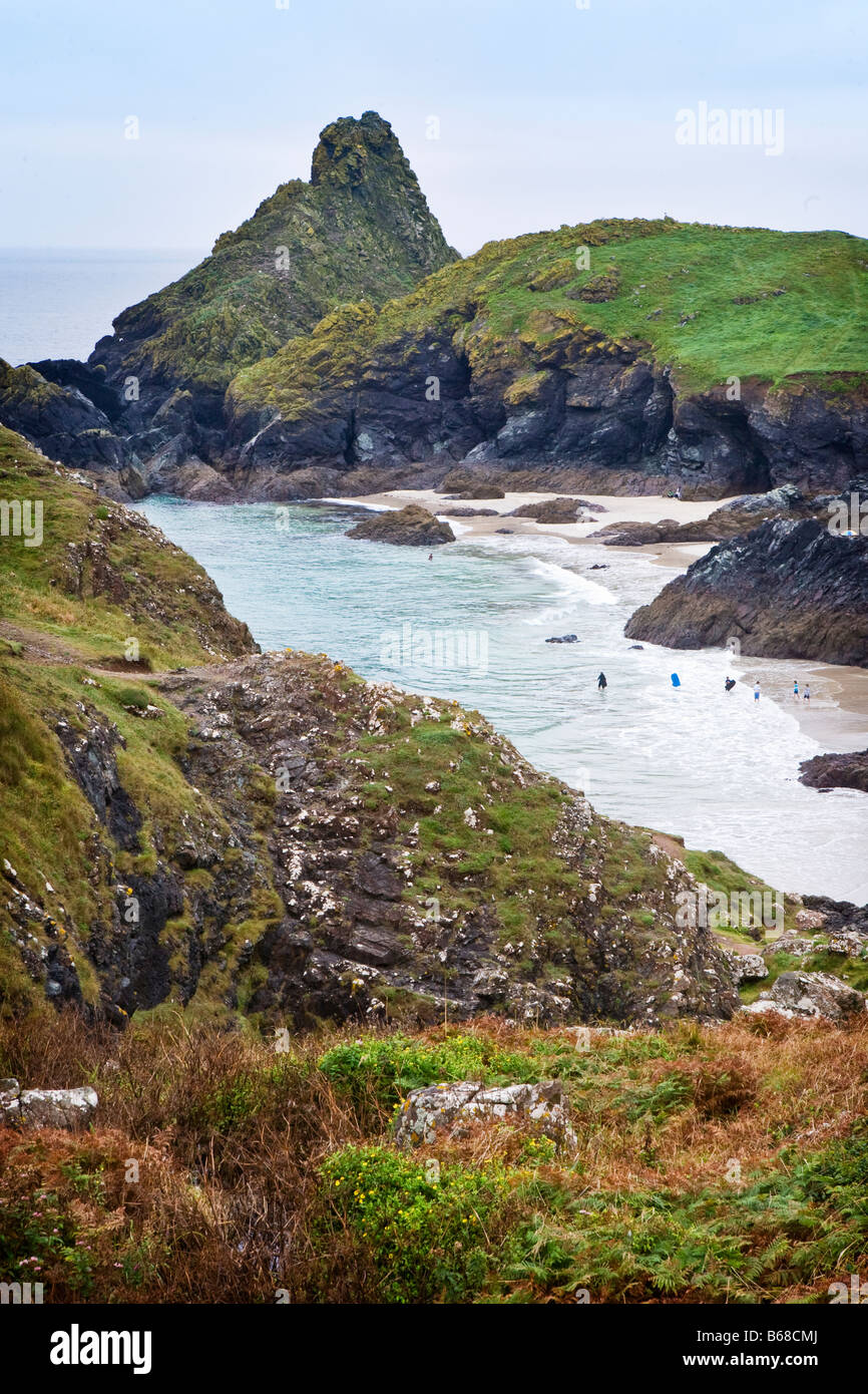 Lizard in Cornwall, England Stock Photo - Alamy