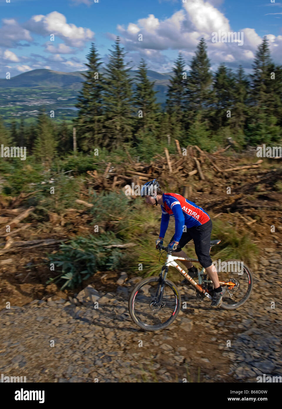 Scott lake forest hi-res stock photography and images - Alamy