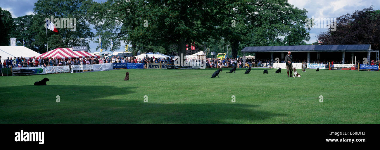 Scottish Game Fair at Scone Palace Perthsire Scotland UK. Dog Display ...