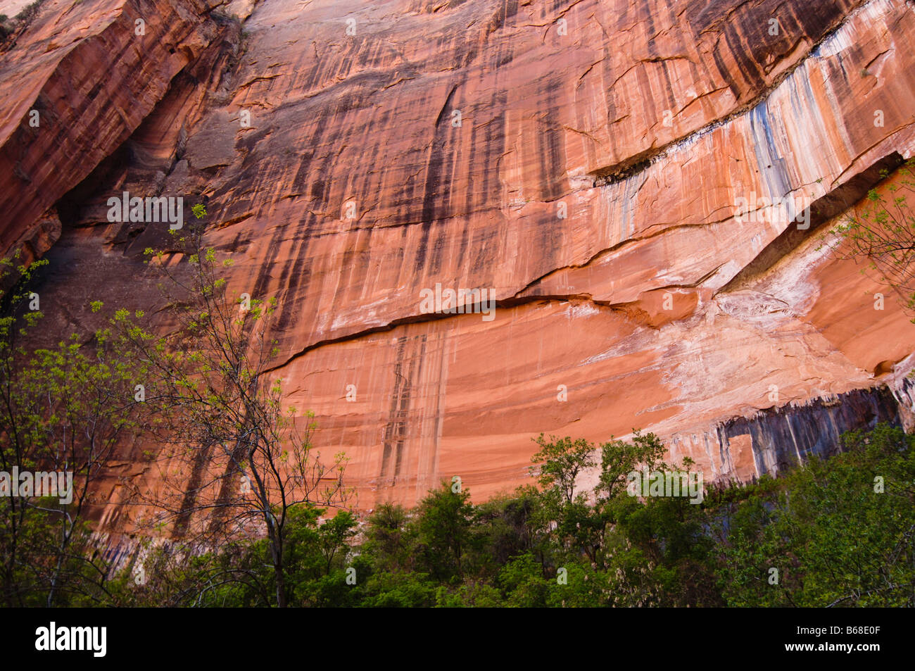 View of the red sandstone walls of Zion National Park in Utah Stock ...