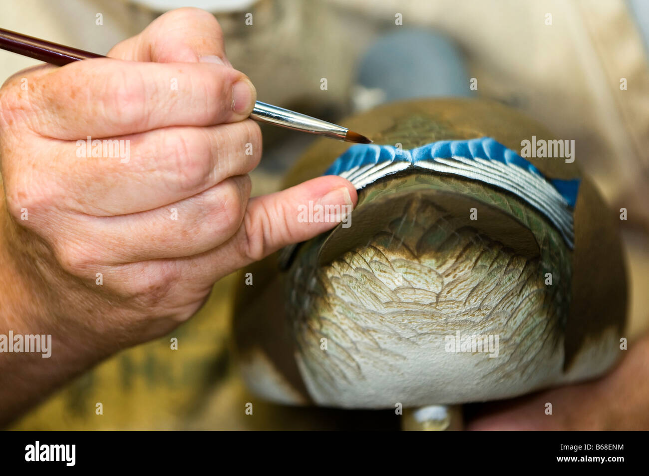 Duck Line Art High Resolution Stock Photography and Images - Alamy