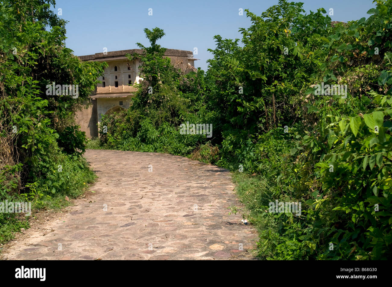 Jogi mahal ranthambore india hi-res stock photography and images - Alamy