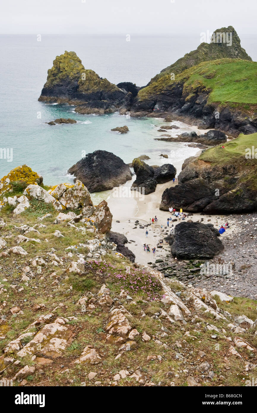 Lizard in Cornwall, England Stock Photo - Alamy