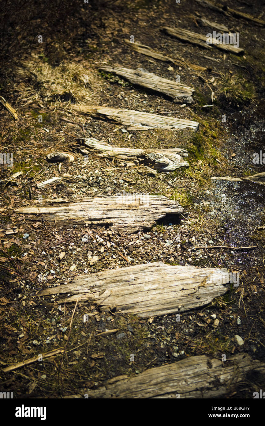 wooden steps on a hiking trail Stock Photo - Alamy