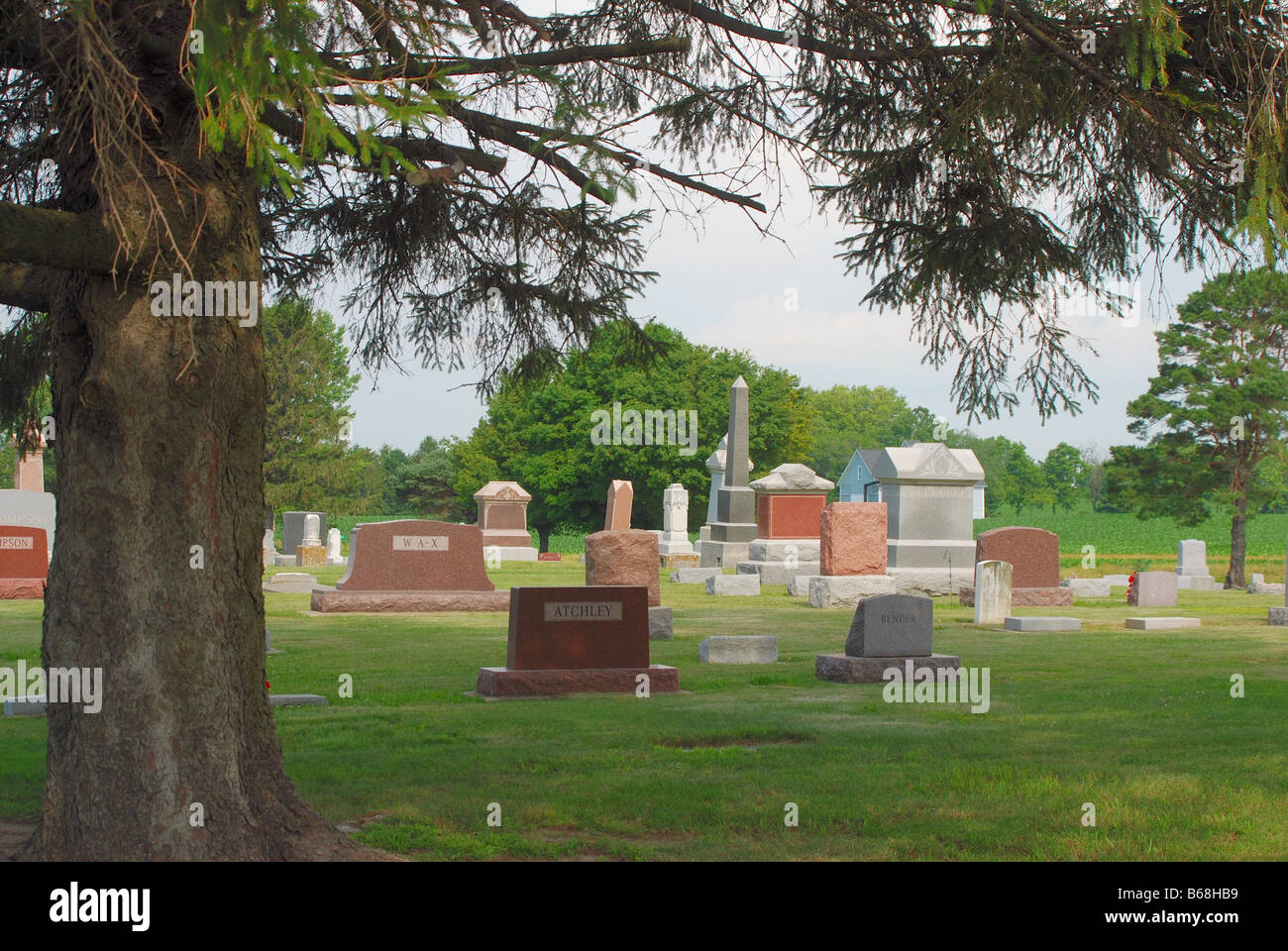 Tree in cemetery hi-res stock photography and images - Alamy