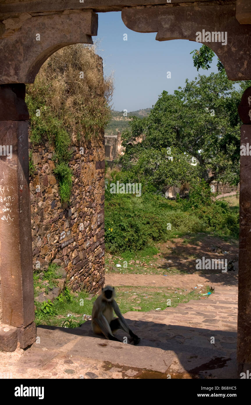 Ranthambore fort. Ranthambore National Park. Rajasthan. India Stock ...