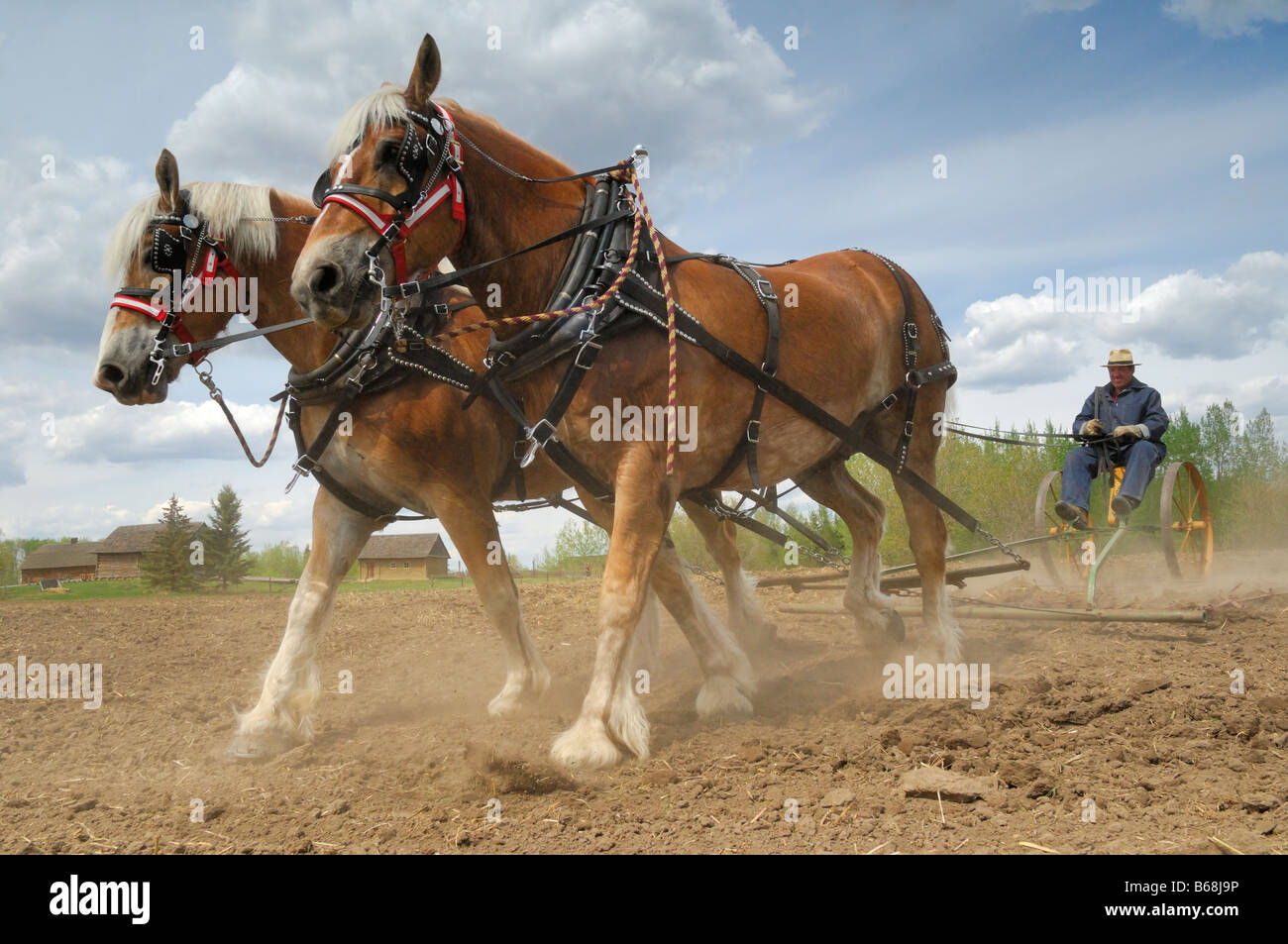 Horse drawn plow hi-res stock photography and images - Alamy