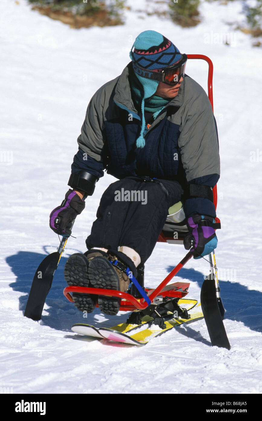 Disabled skier seated in a bi ski in Red Lodge Montana USA Stock Photo ...