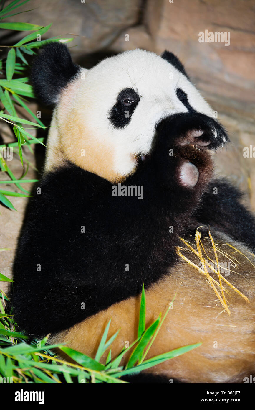 Xiangjiang hi-res stock photography and images - Alamy