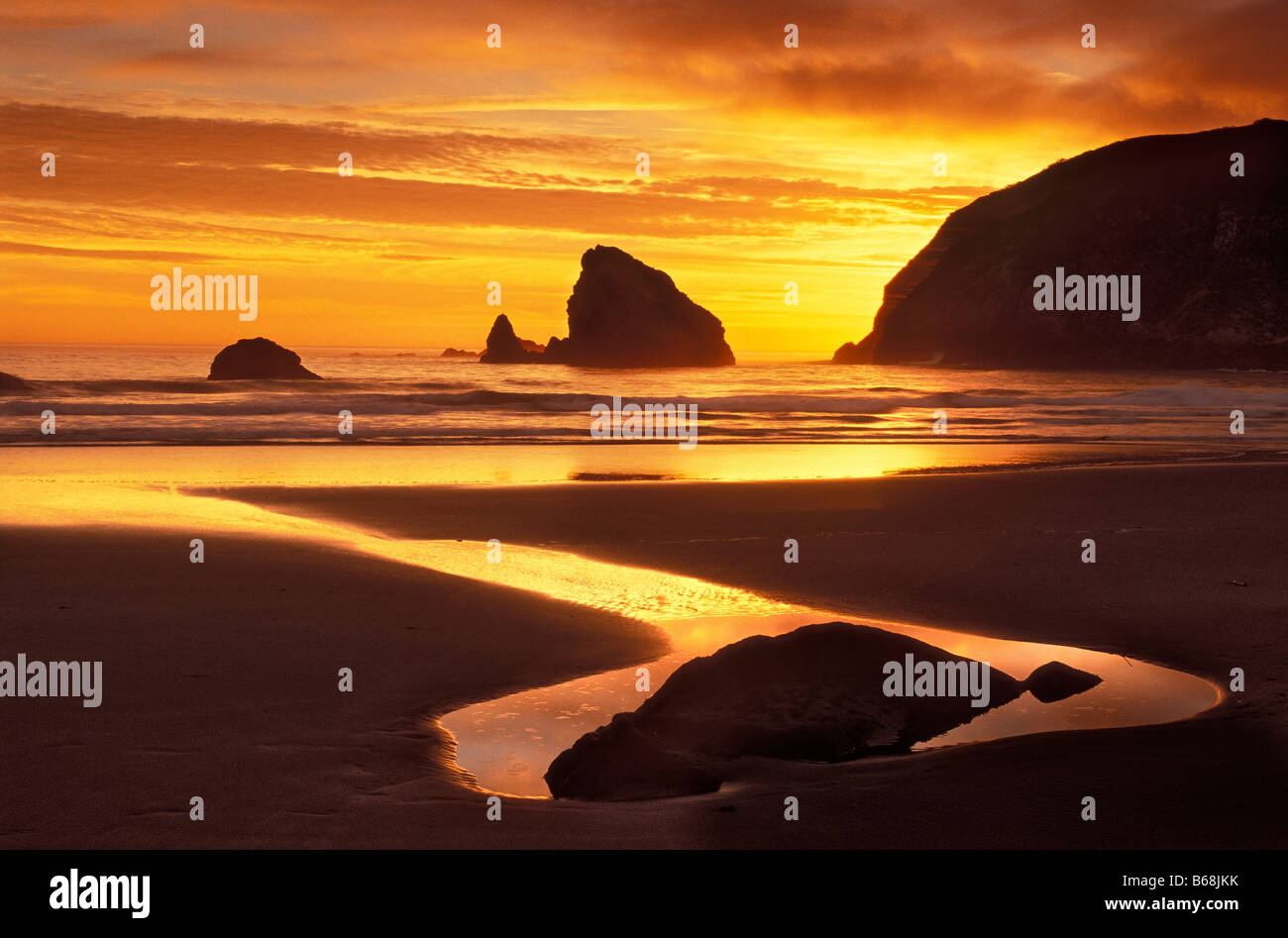 Harris beach state park hi-res stock photography and images - Alamy