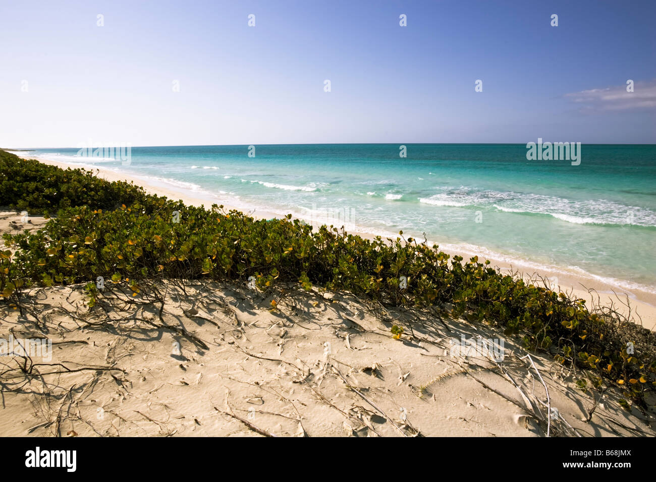 Dune. Caribbean, beautiful, desert, sunny beach. Seascape. Cayo Santa ...