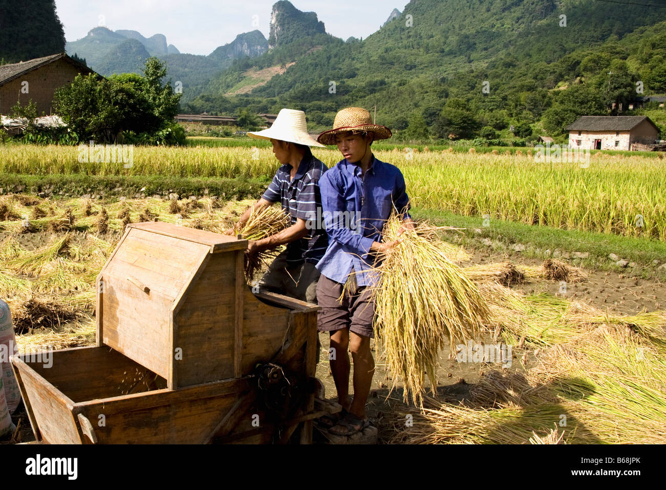 China Rice Paddy Worker High Resolution Stock Photography and Images ...