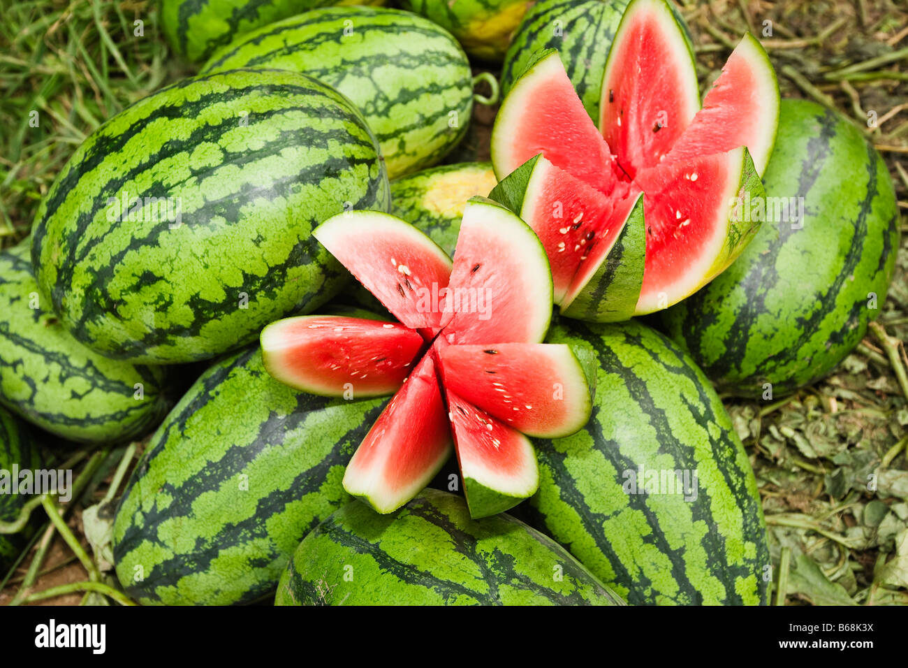 Close-up of watermelons, Zhigou, Shandong Province, China Stock Photo ...