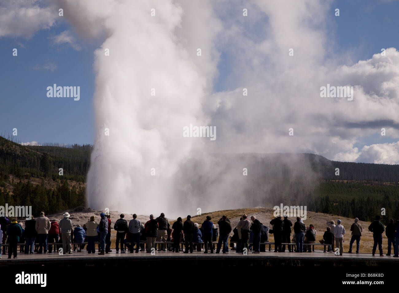 Old Faithful Geyser in Yellowstone National Park in the United States ...