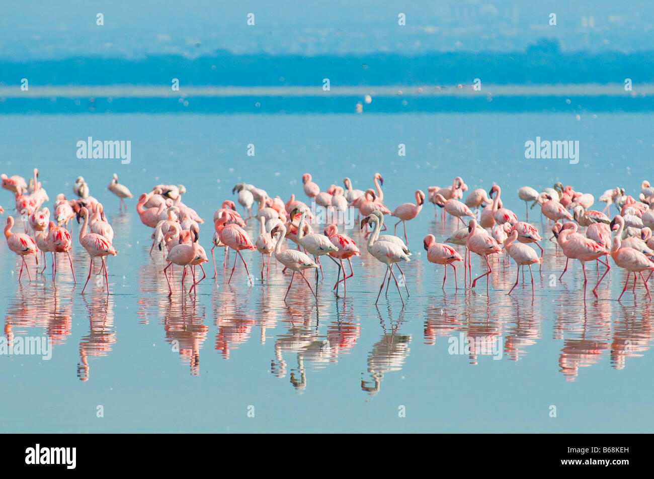 Kenya explorer hi-res stock photography and images - Alamy