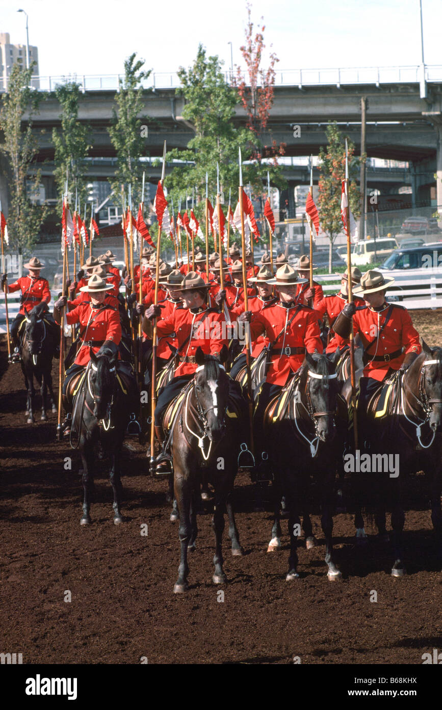 Royal canadian mounted police horse in musical ride hi-res stock ...