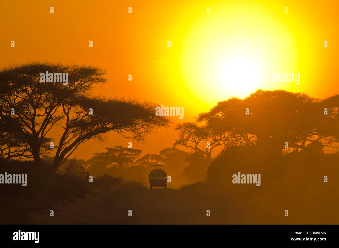 safari jeep driving through savannah in the sunset Stock Photo - Alamy