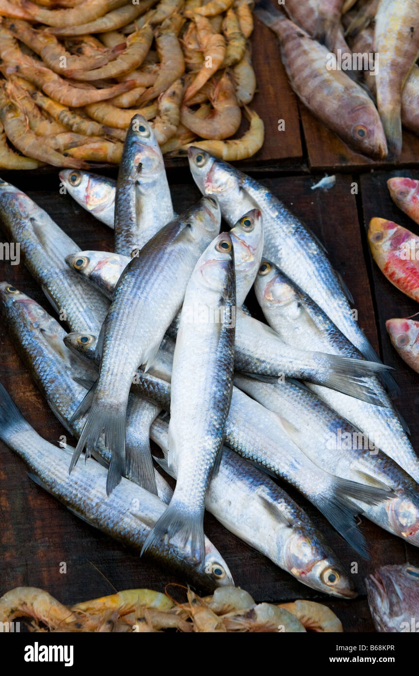 fresh fish at a fish market Stock Photo - Alamy