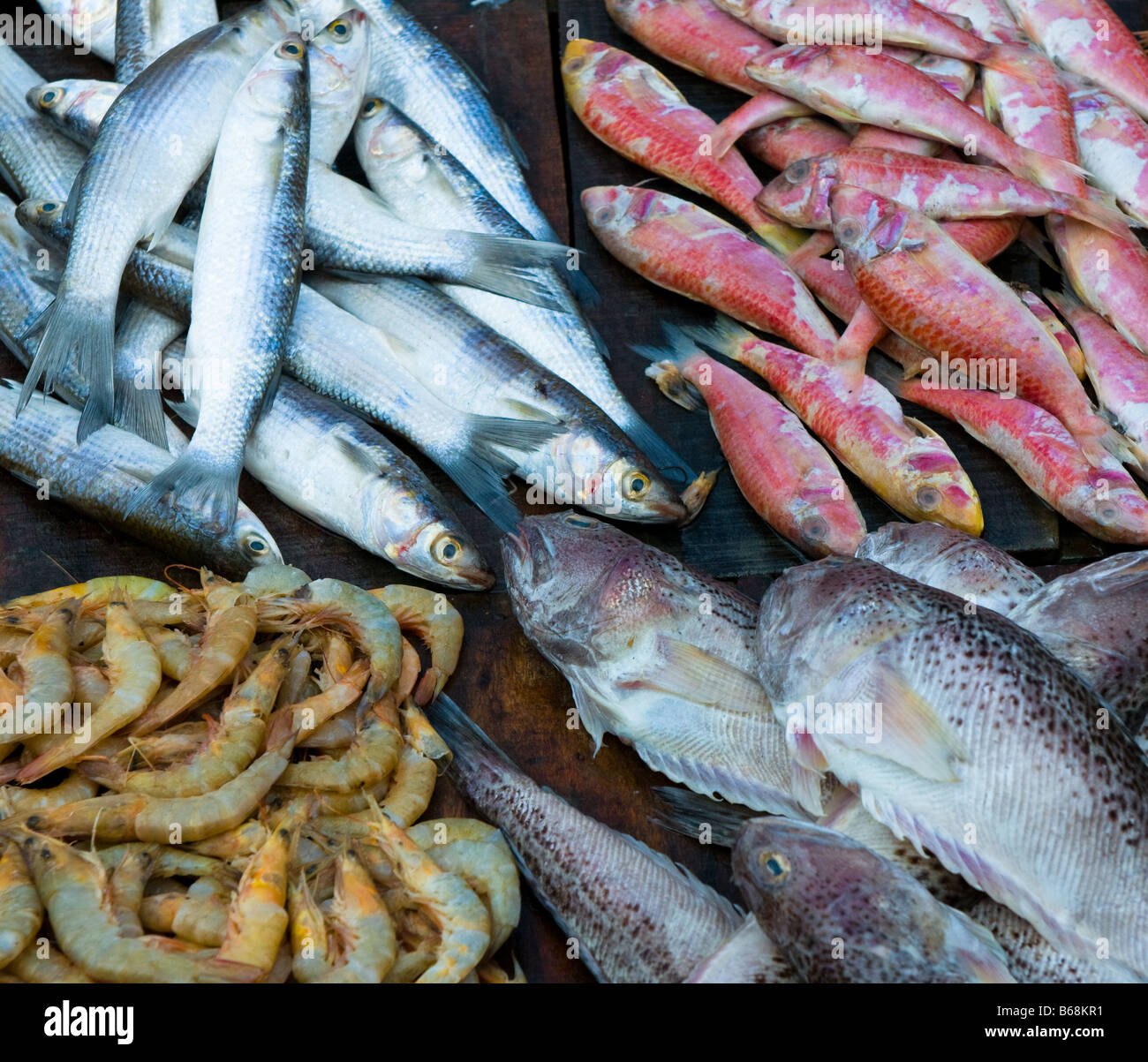 fresh fish at a fish market Stock Photo - Alamy