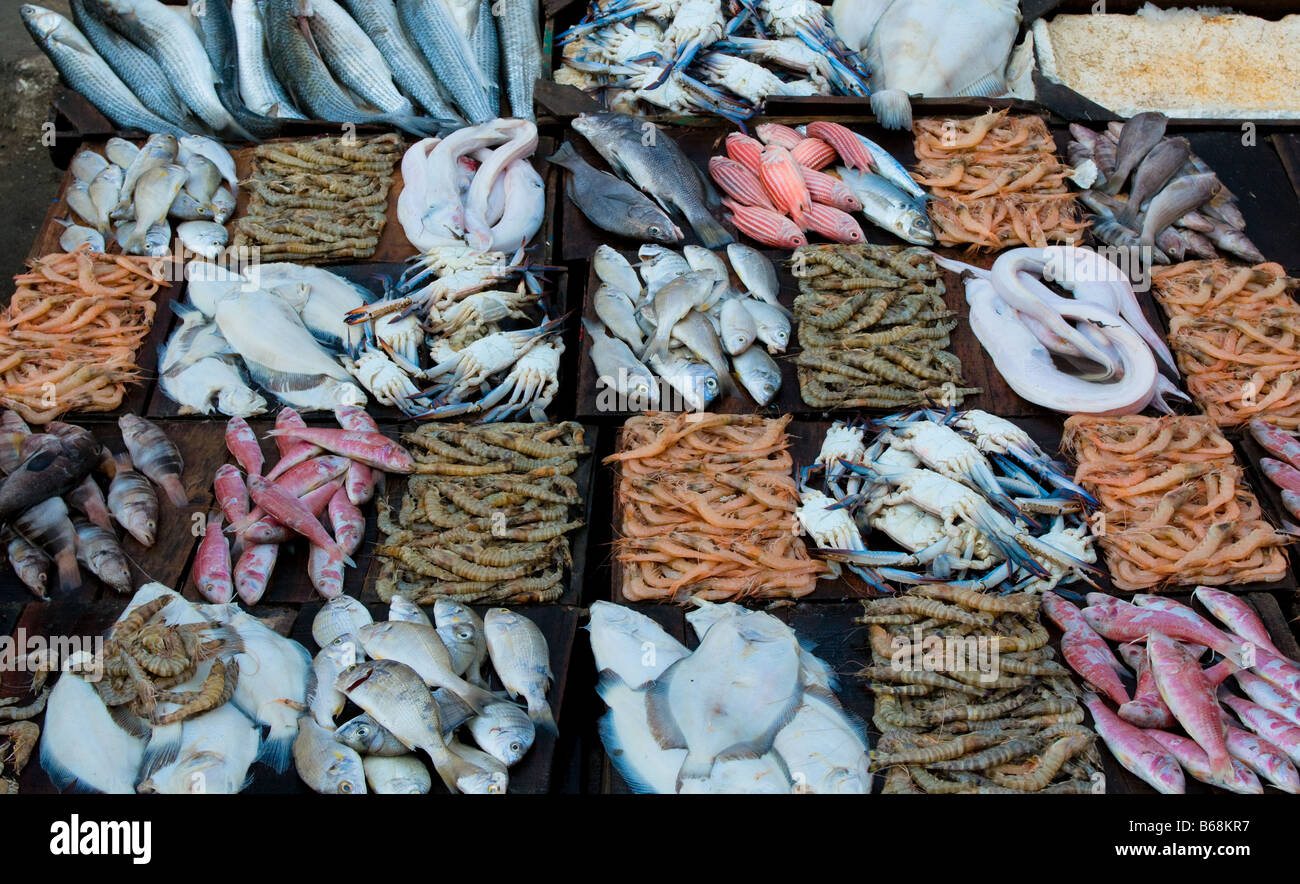 Market shrimps hi-res stock photography and images - Alamy