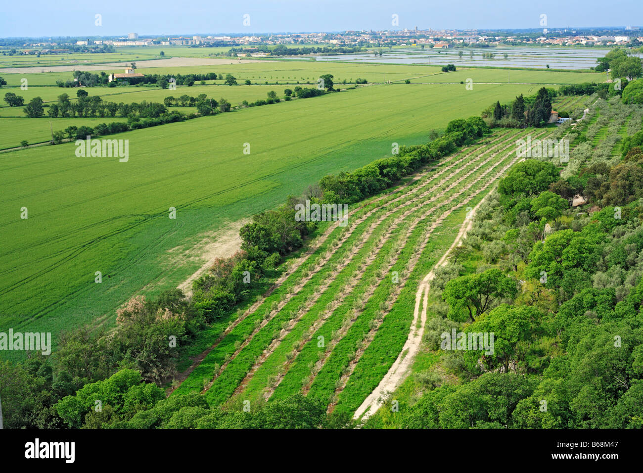 Provence grass hi-res stock photography and images - Alamy