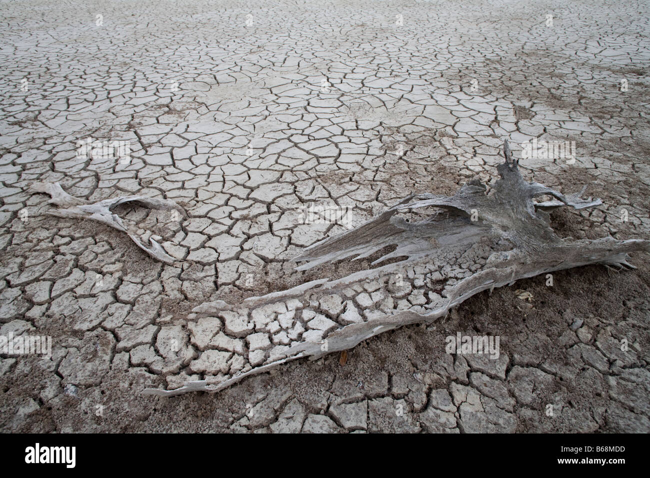 Little mud pond hi-res stock photography and images - Alamy