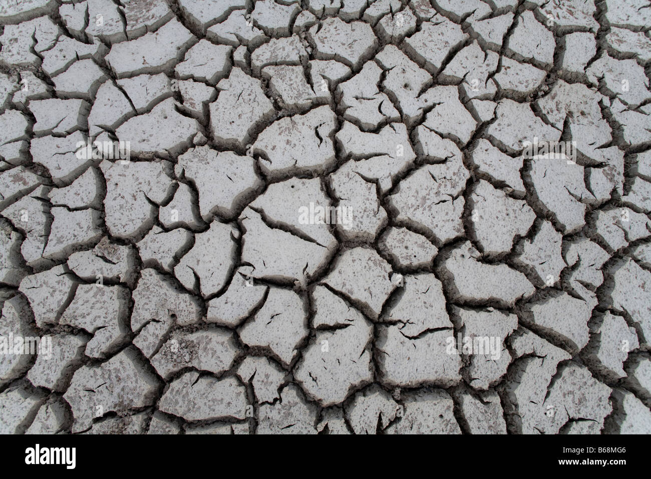 Cayman Islands Little Cayman Island Cracked mud of dry lake bottom at ...