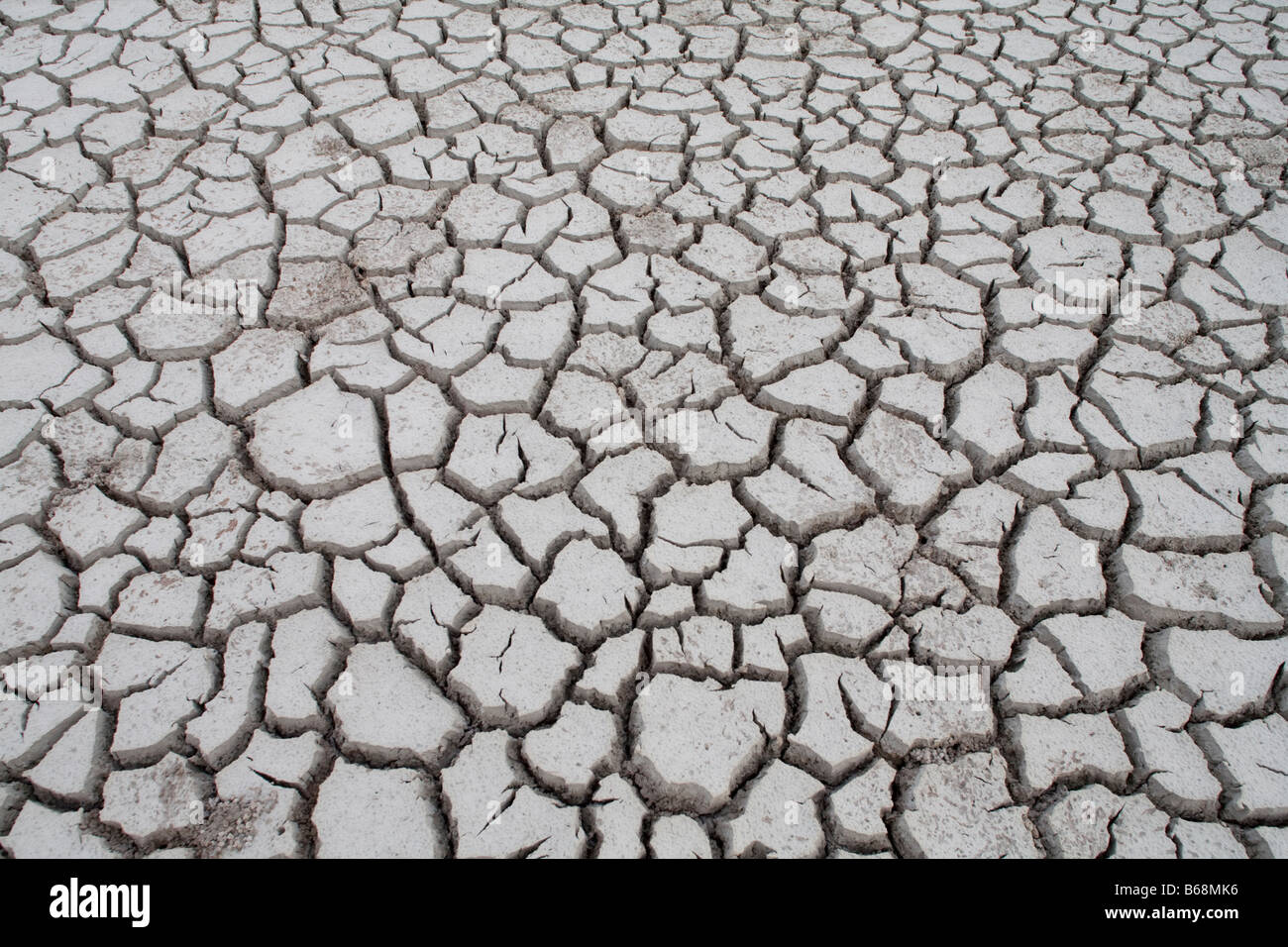 Little mud pond hi-res stock photography and images - Alamy