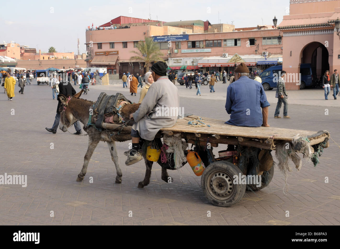 Mule and cart in Marrakech, Morocco Stock Photo - Alamy