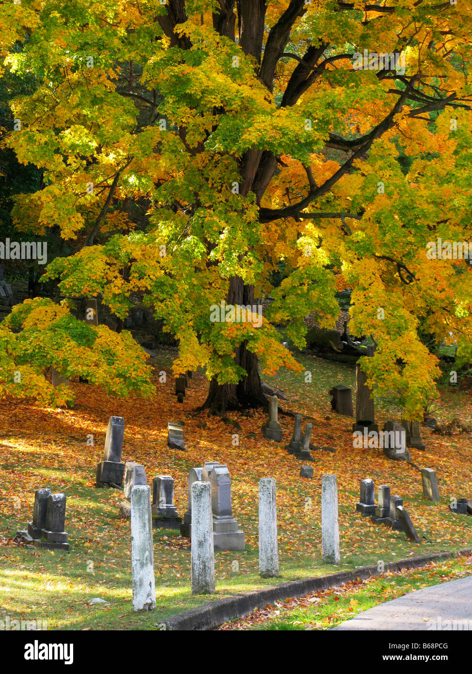 Cemetery in autumn Stock Photo - Alamy