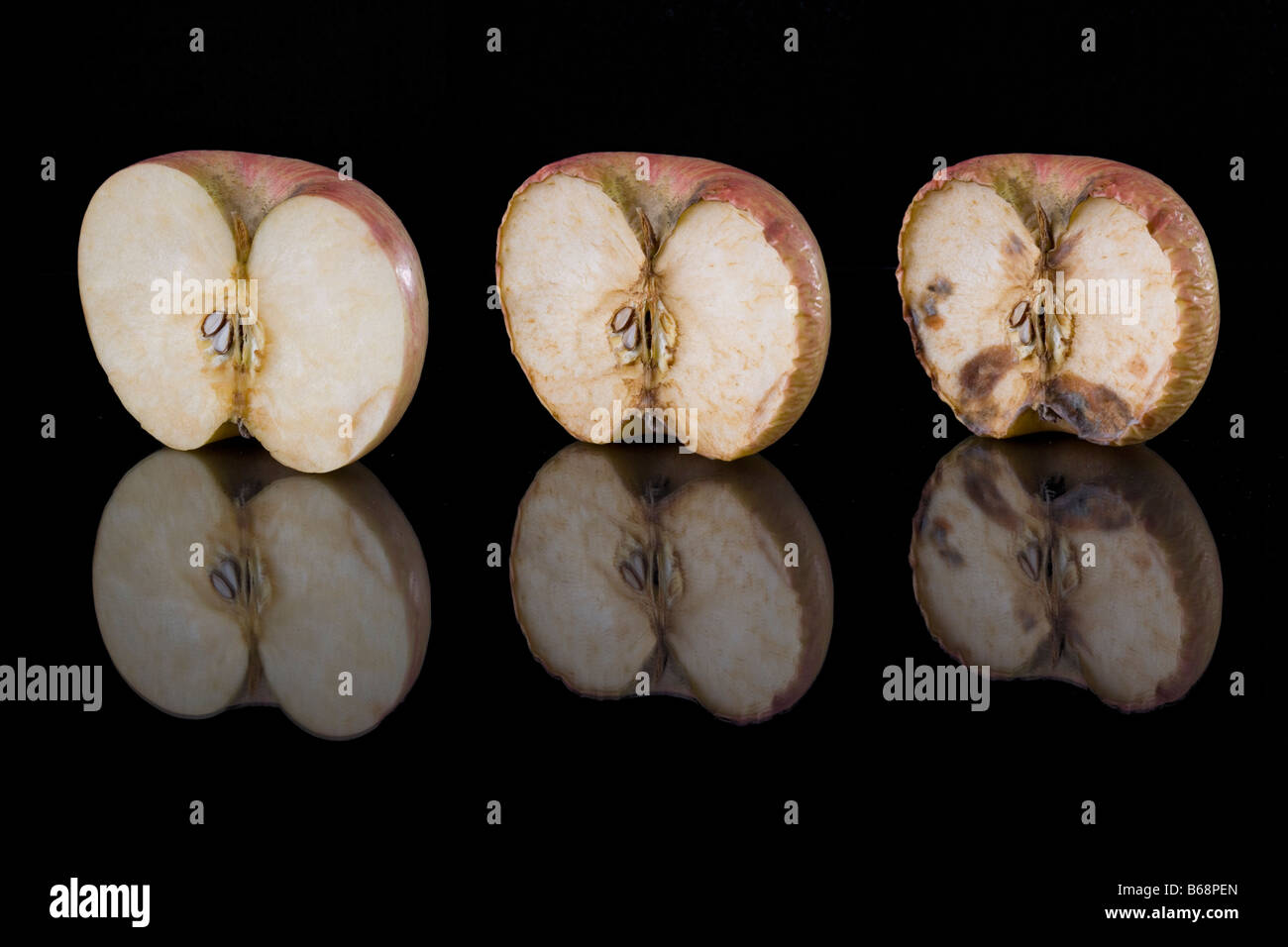 Rotting apple seeds hi-res stock photography and images - Alamy Rotting apple seeds hi-res stock photography and images - Alamy
