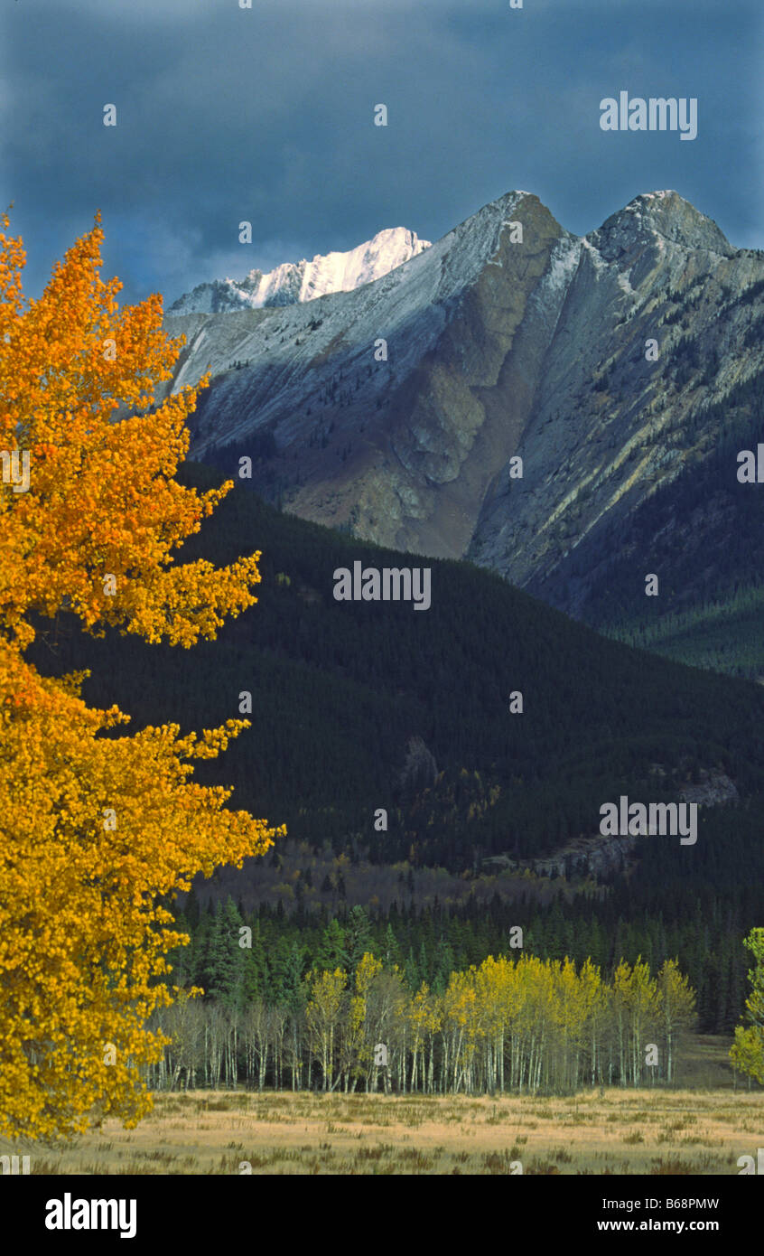 Autumn in Canadas Rockies Stock Photo - Alamy