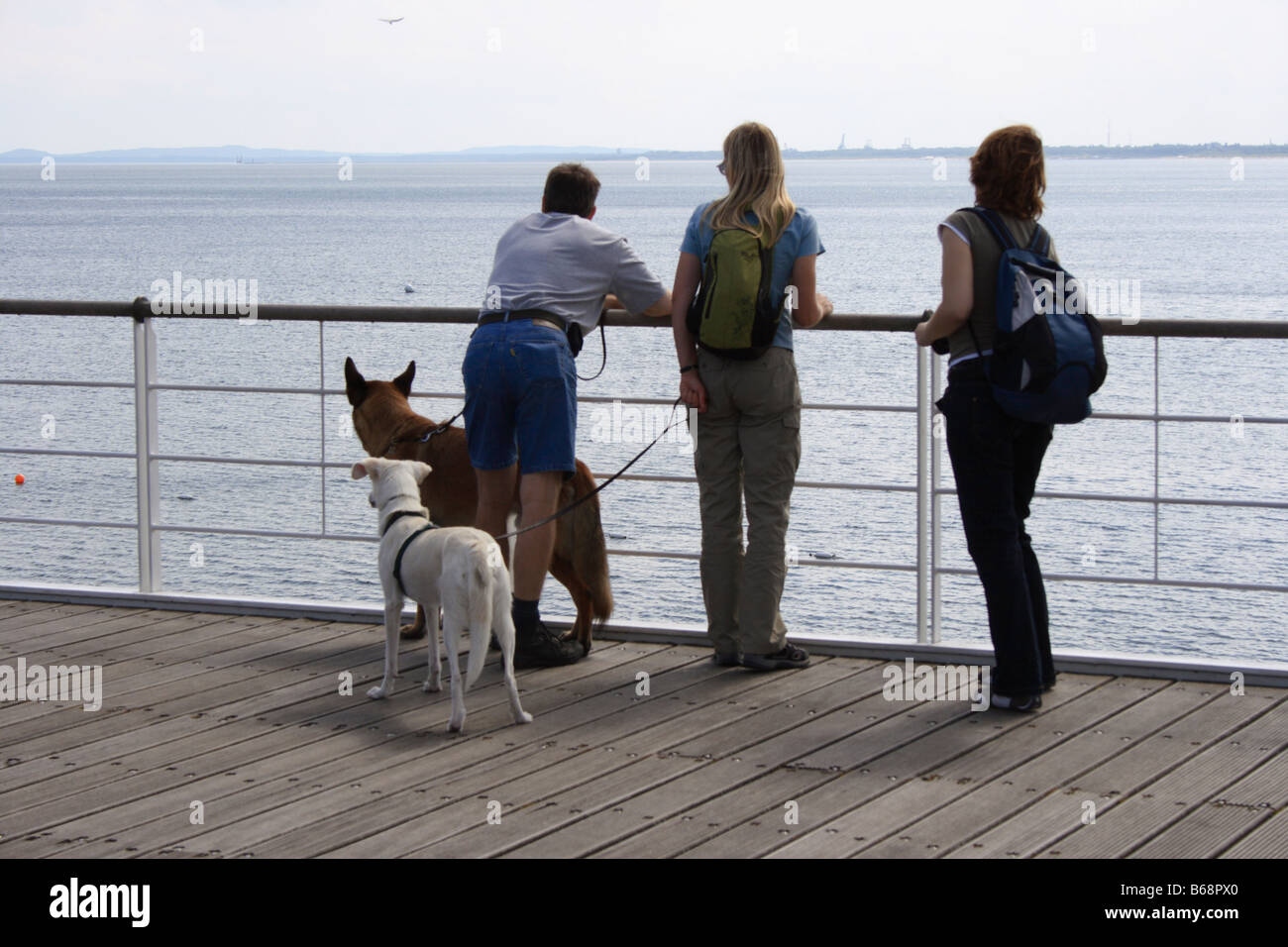 3 people and 2 dogs standing at the guardrail of a pier and looking ...
