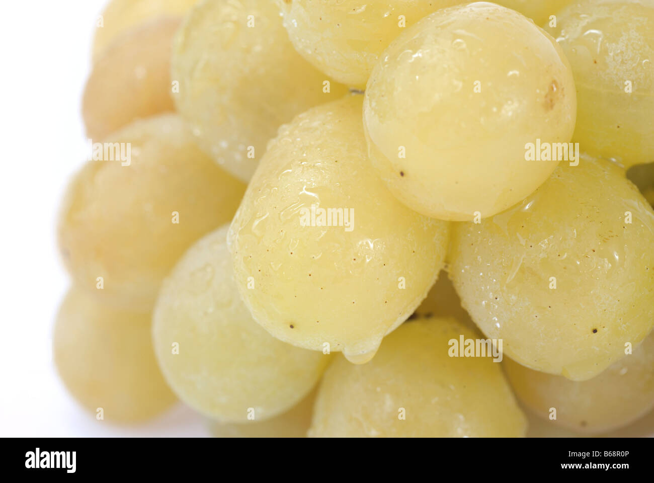 Closeup part of wet white grapes bunch on light background Stock Photo ...