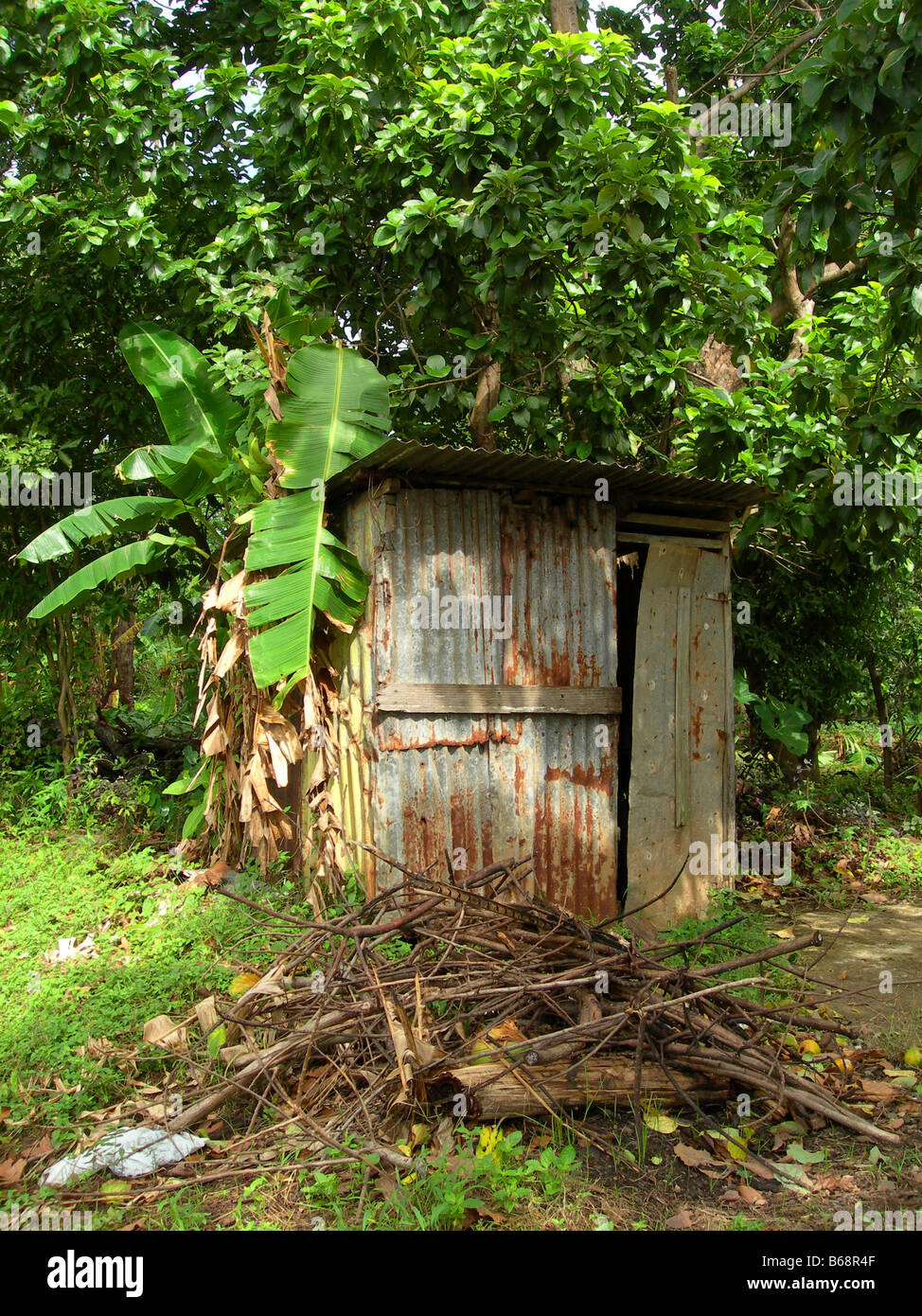 outhouse bathroom zinc sheet metal house with banana tree corn island ...