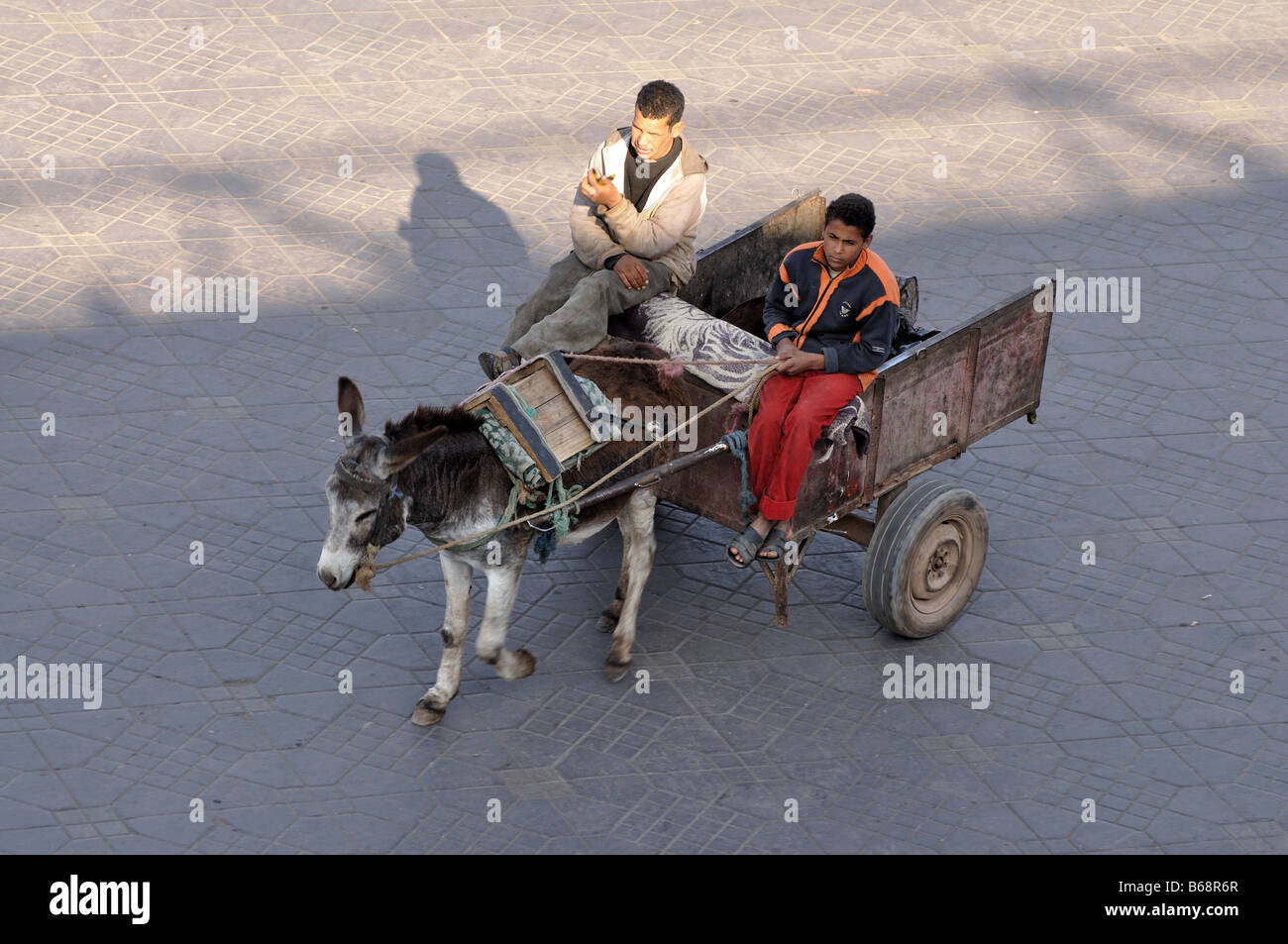 Mule cart in Marrakech, Morocco Stock Photo - Alamy