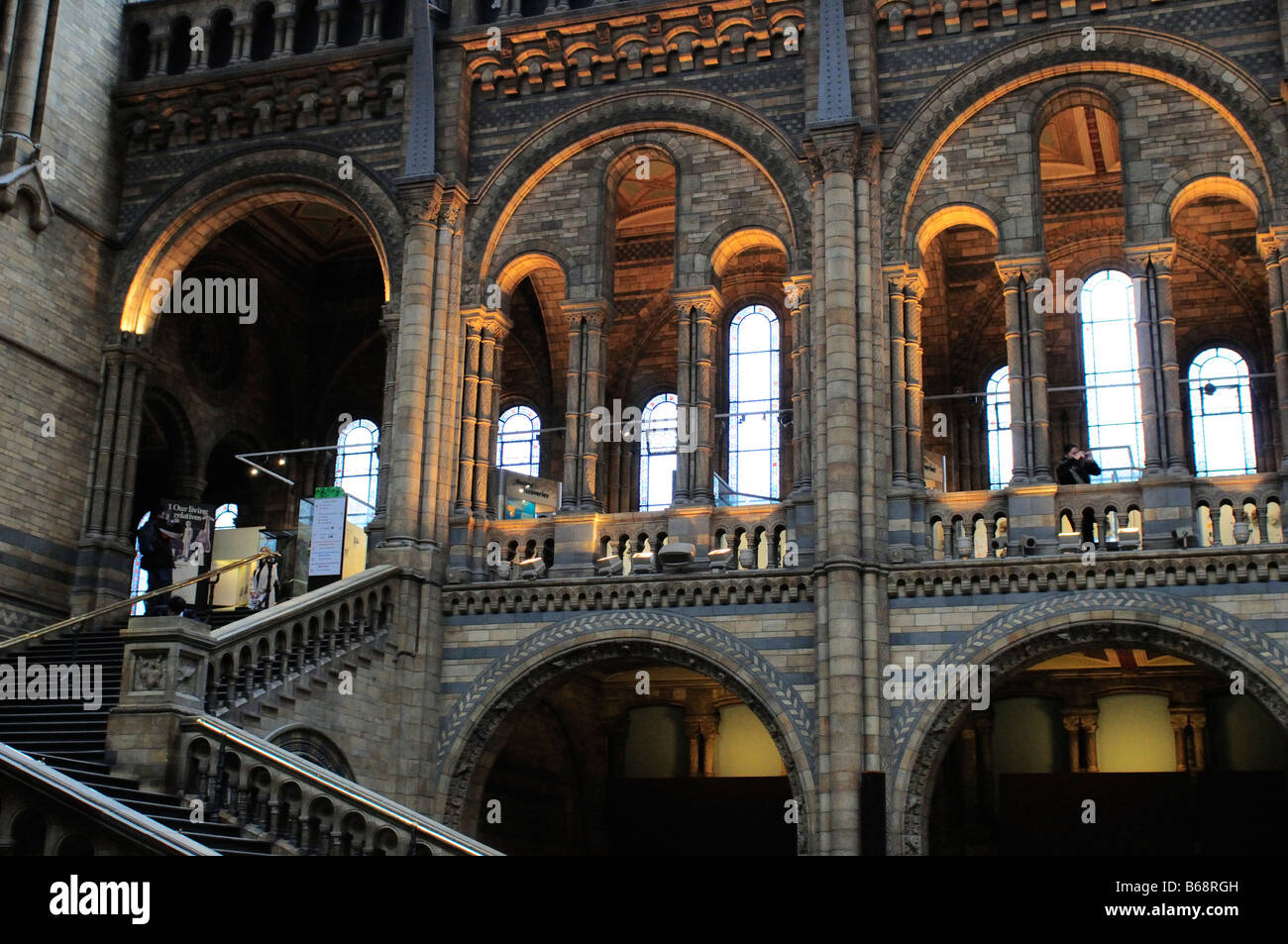 Natural History Museum Interior Stock Photos & Natural History Museum ...