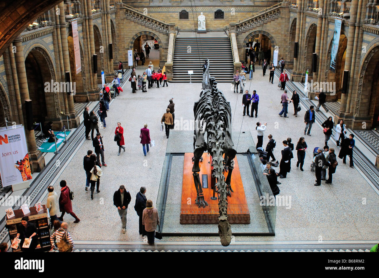 Natural History Museum main central hall with Diplodocus skeleton South ...