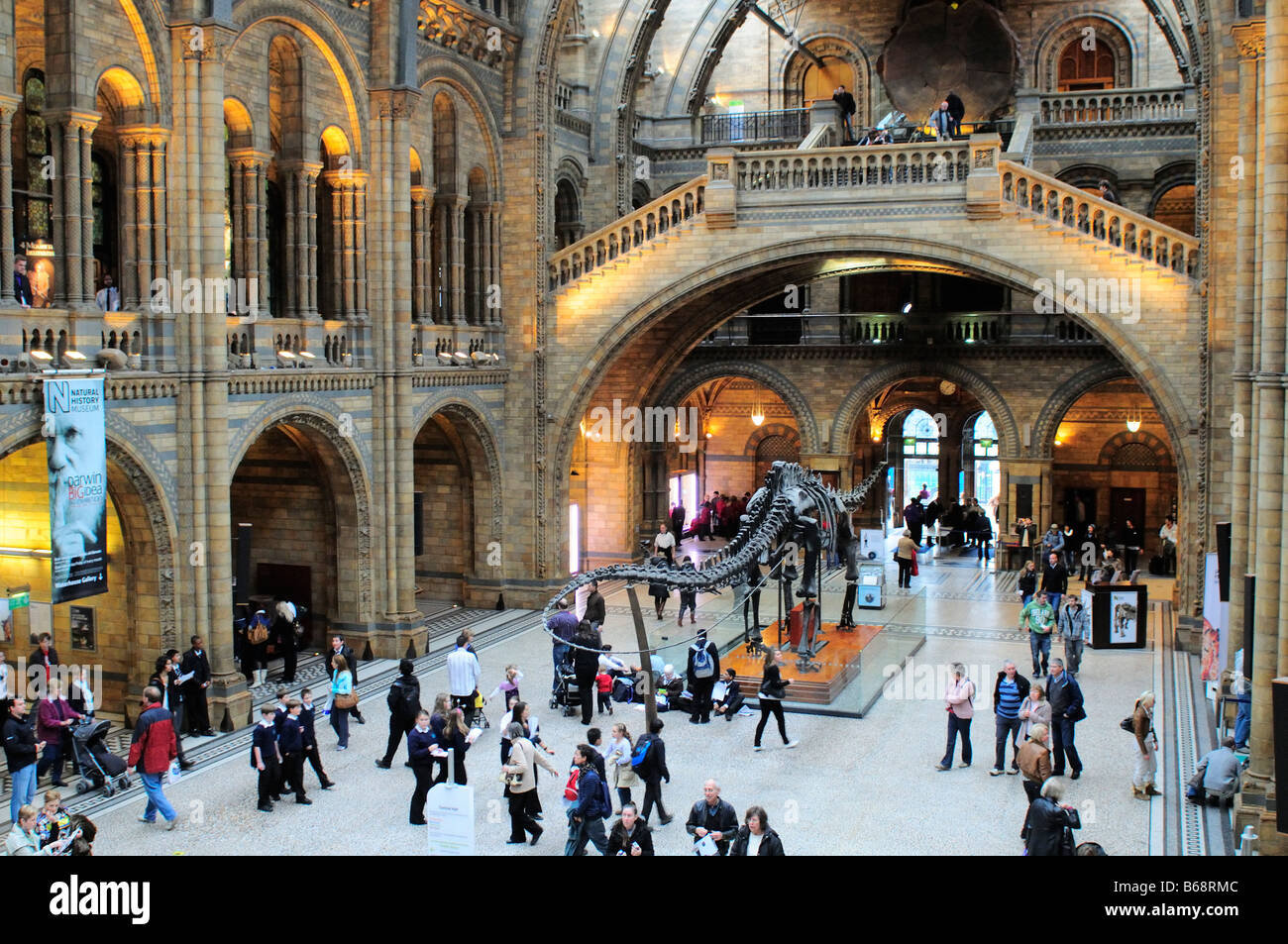 Natural History Museum main central hall with Diplodocus skeleton South ...
