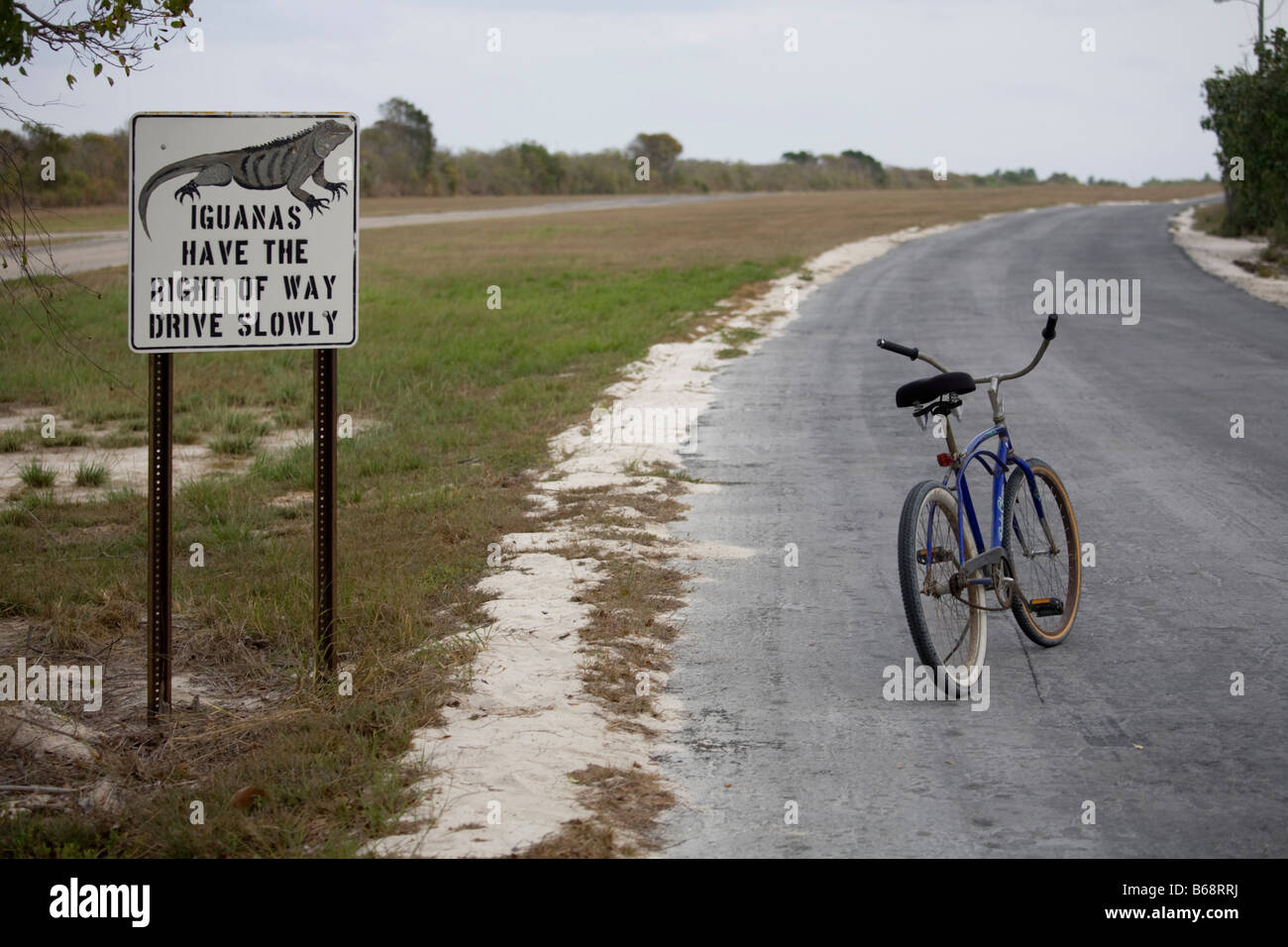 Cayman Islands Little Cayman Island Bicycle and Iguana Crossing Sign ...