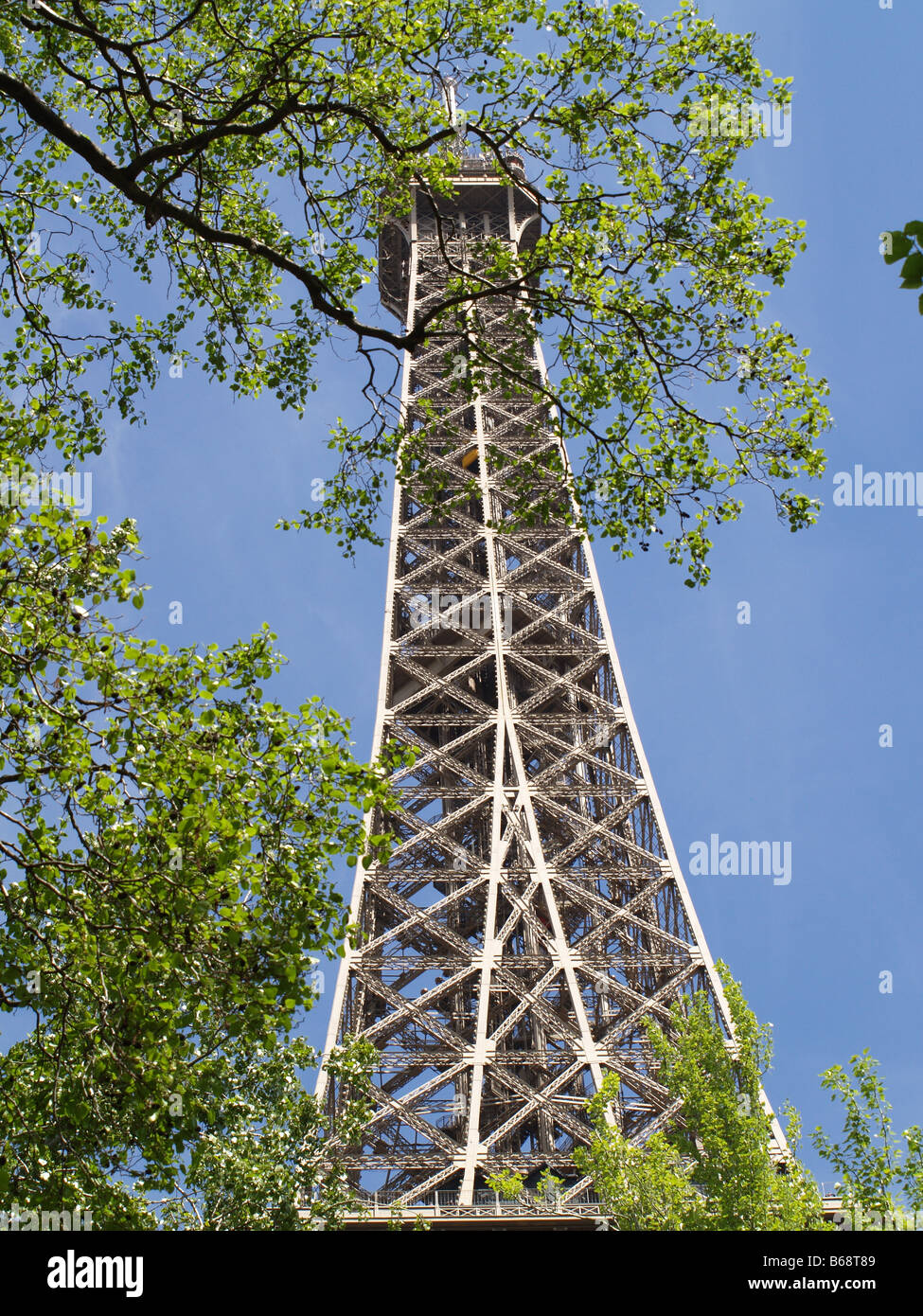 Top of Eiffel Tower through trees Stock Photo - Alamy