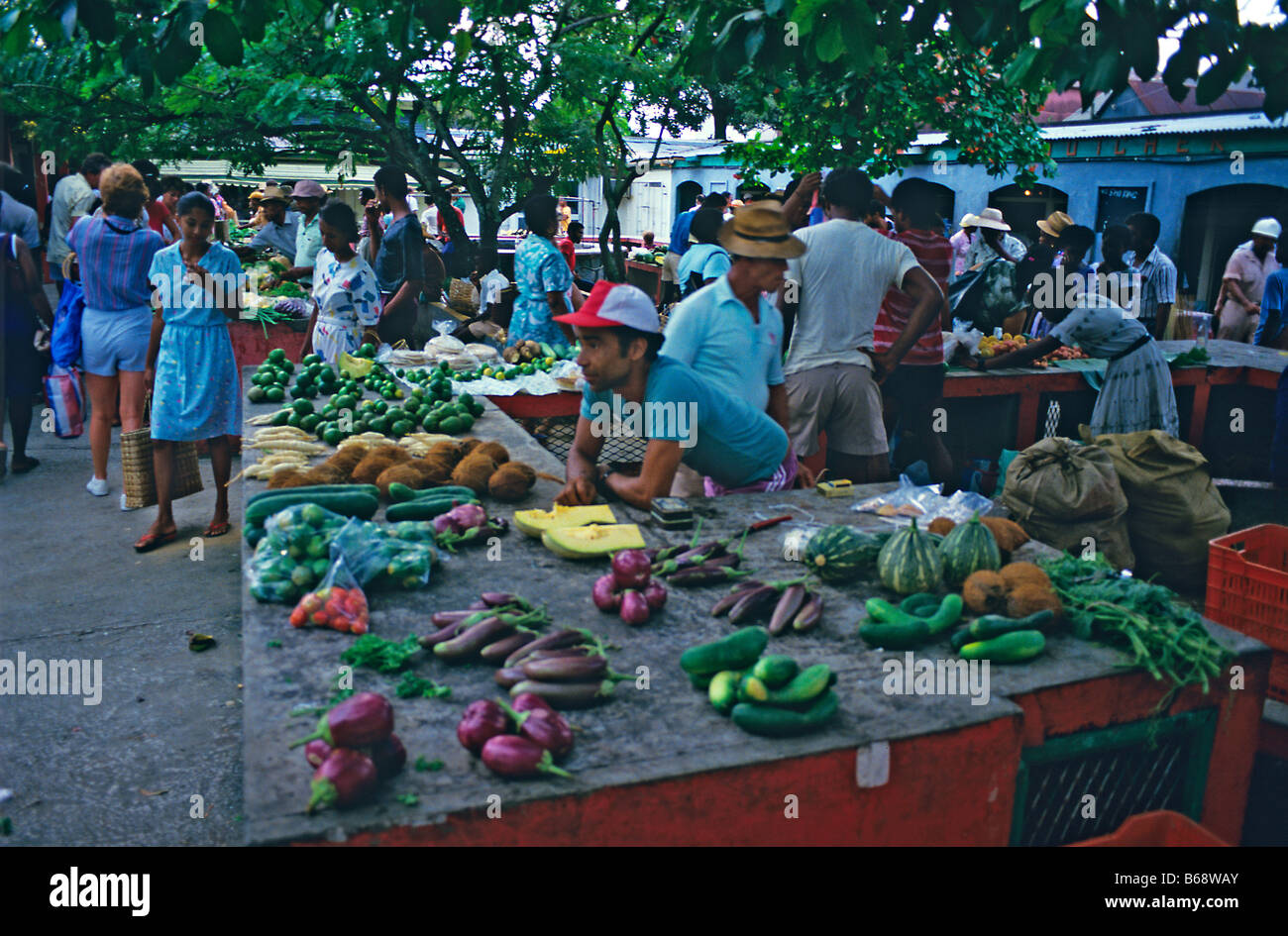 Tropical fruits mahe seychelles hi-res stock photography and images - Alamy